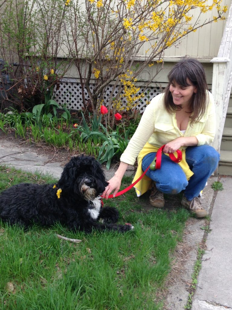 Cabbagetowner according to … Arianne Schaffer – Cabbagetown Residents ...